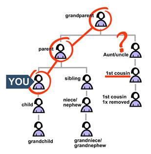 Just Enough Genetics - Connect My Variant